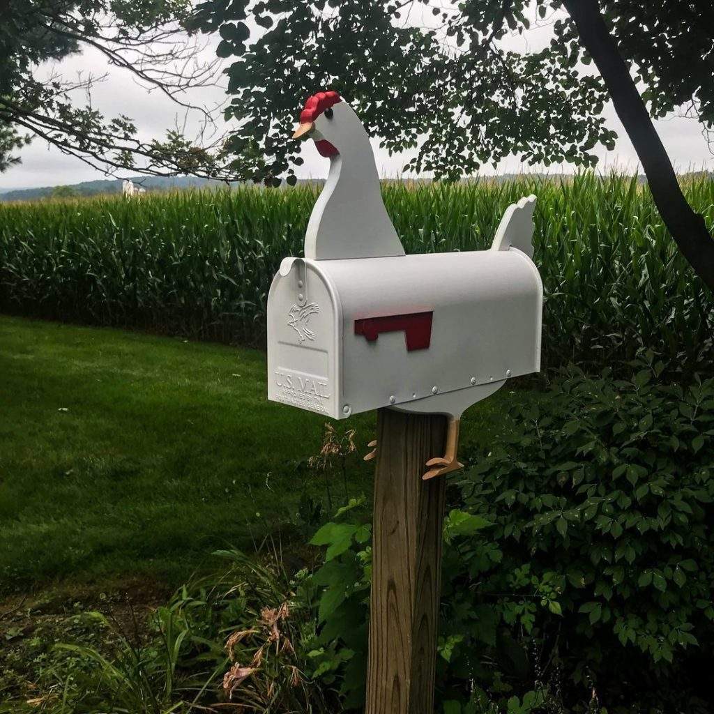 UNIQUE MAILBOX | FARM ANIMAL MAILBOXES – Chyhua